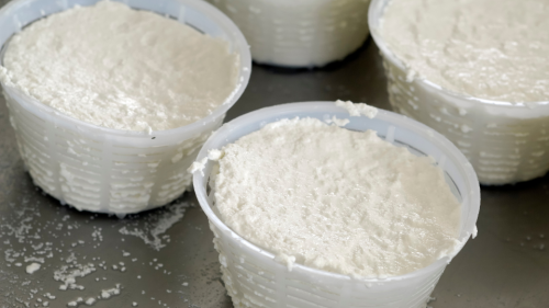 Sicilian ricotta cheese: a symbol of gastronomic tradition and the ...